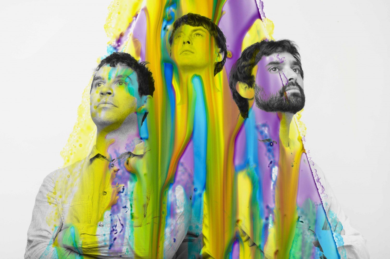 Writers Animal Collective Domino Publishing