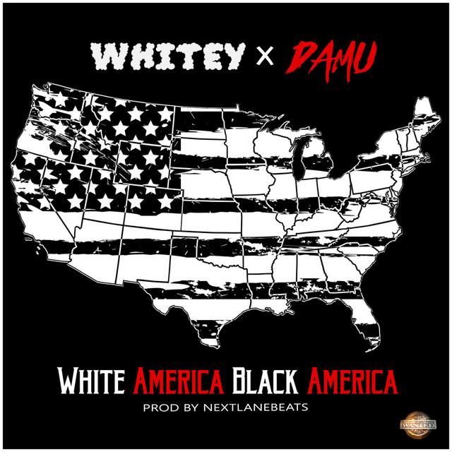 White America Black America | Domino Publishing